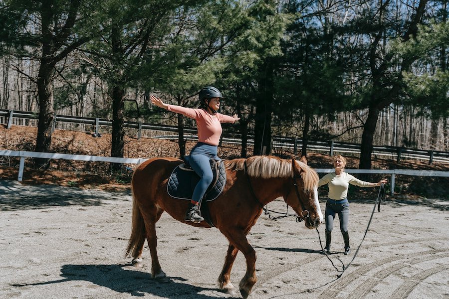 Do You Need Horse Riding Lessons: An Honest Answer - Horses Afield